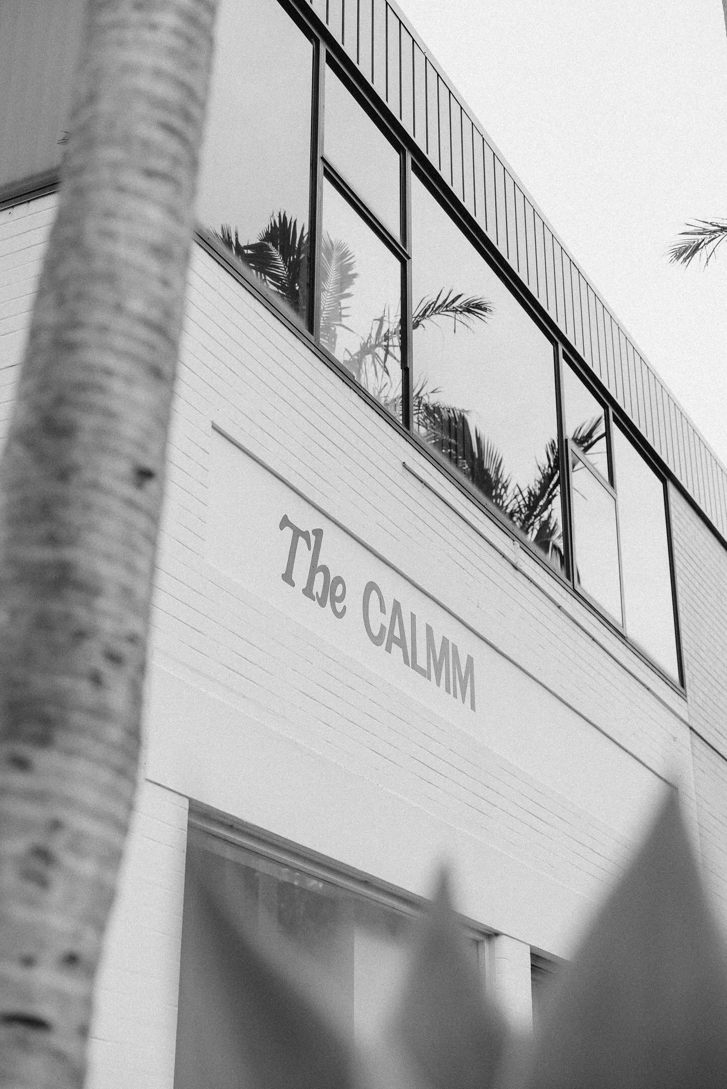 The CALMM — Not Another Onesie