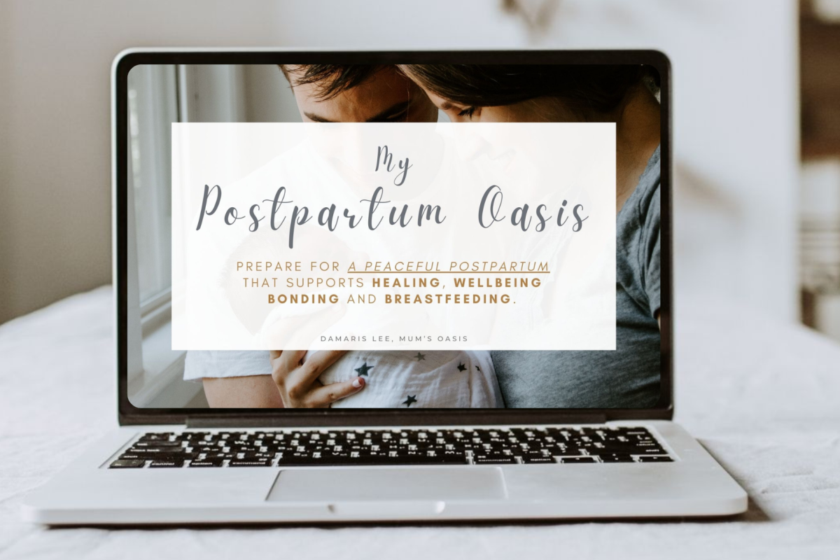 Postpartum Oasis - Postpartum Education Course — Not Another Onesie